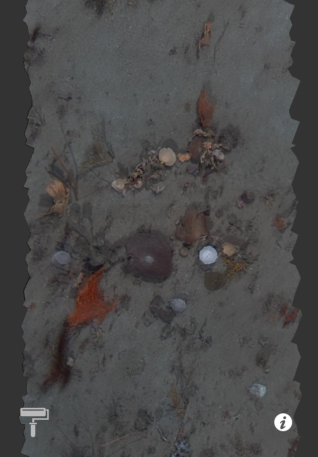 SeafloorExplore - Matthew Johnson-Roberson